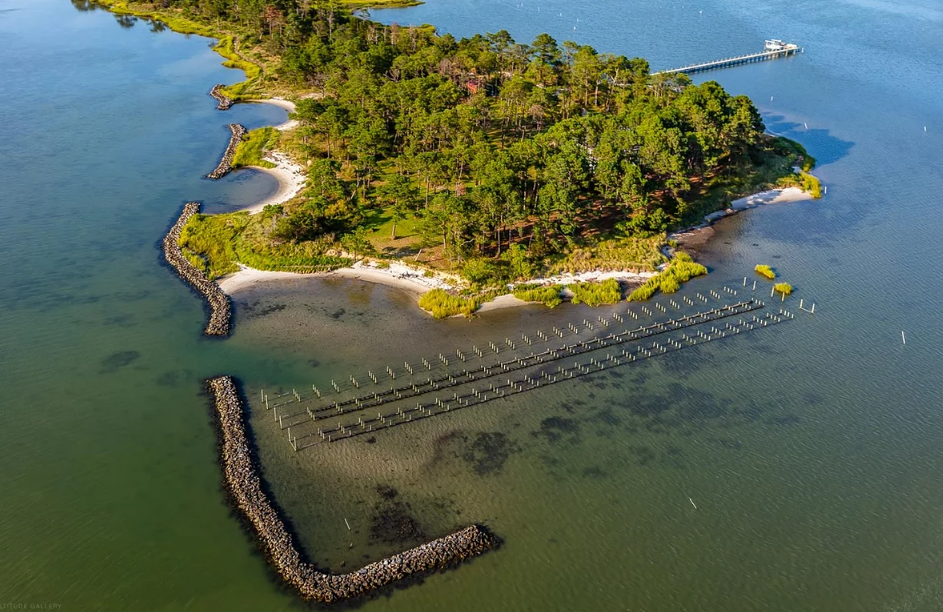 From PwC to the Joys of the Sea: The Story of Lambert Shellfish | Lady ...