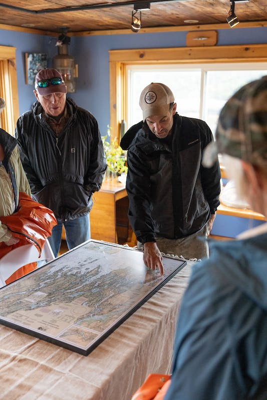 Collections | Lady Oyster