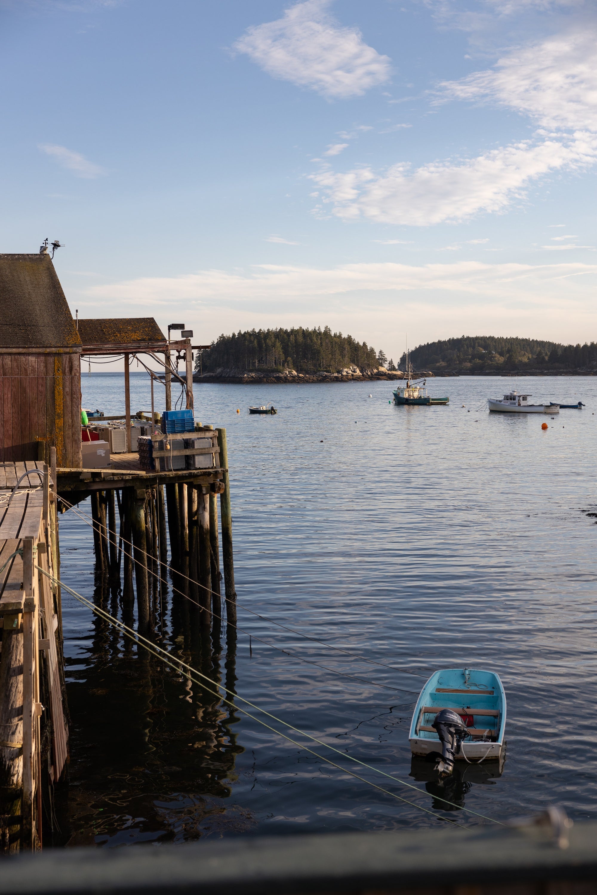 Lady Oyster | Shellfishly Motivated