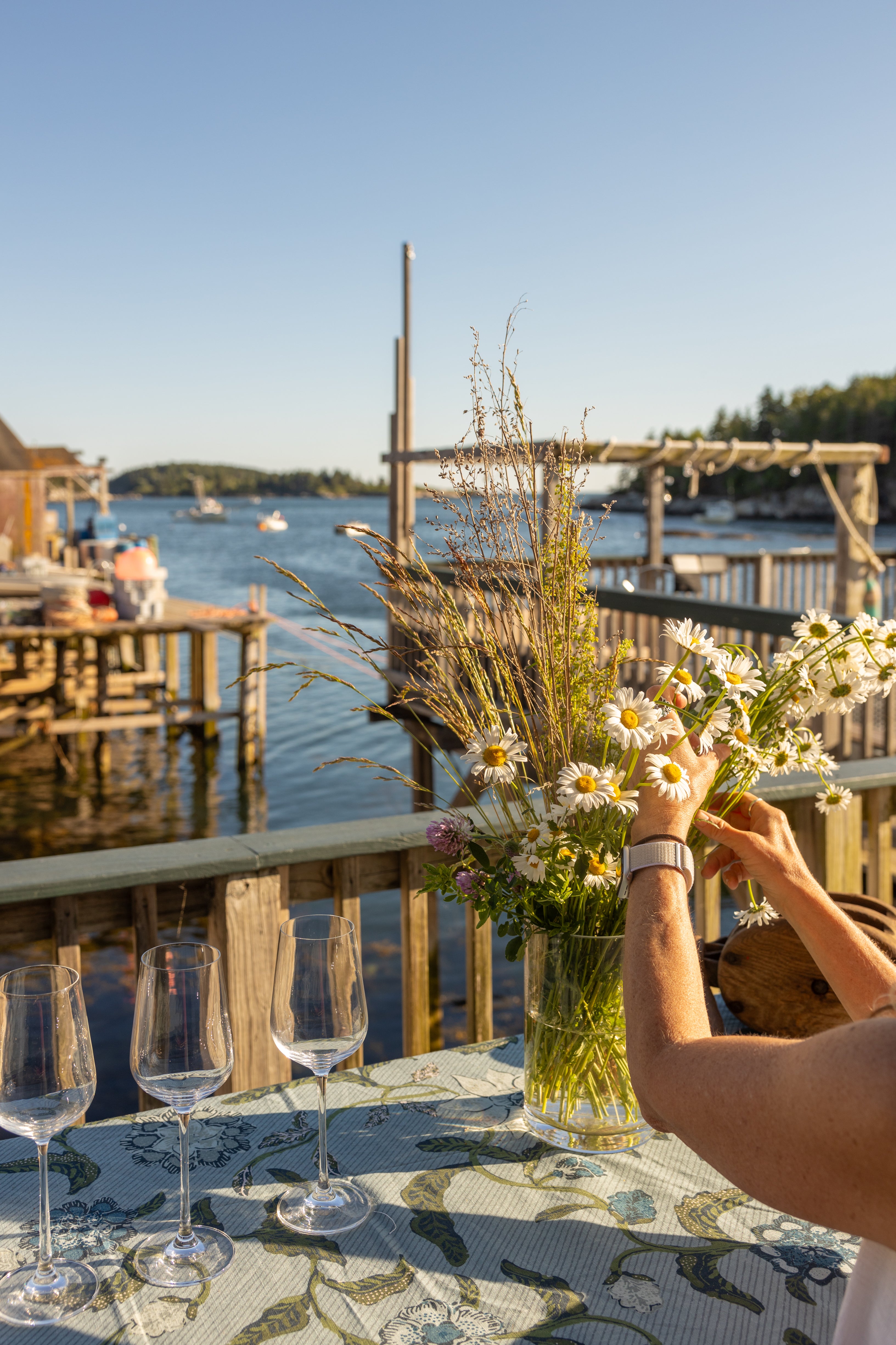 BOOK YOUR OYSTER EXPERIENCE | Lady Oyster