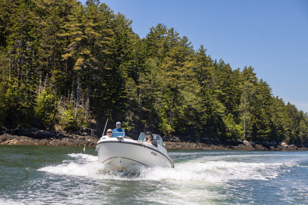 BOOK YOUR OYSTER EXPERIENCE | Lady Oyster