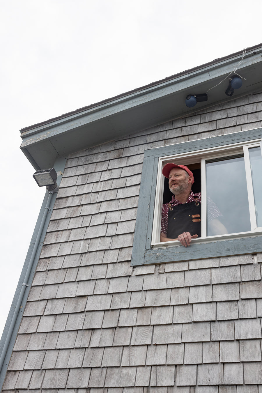 About Lady Oyster | Lady Oyster