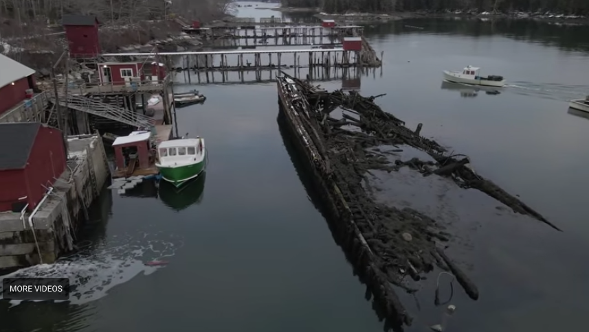 MAINE OYSTER TOURS | Lady Oyster
