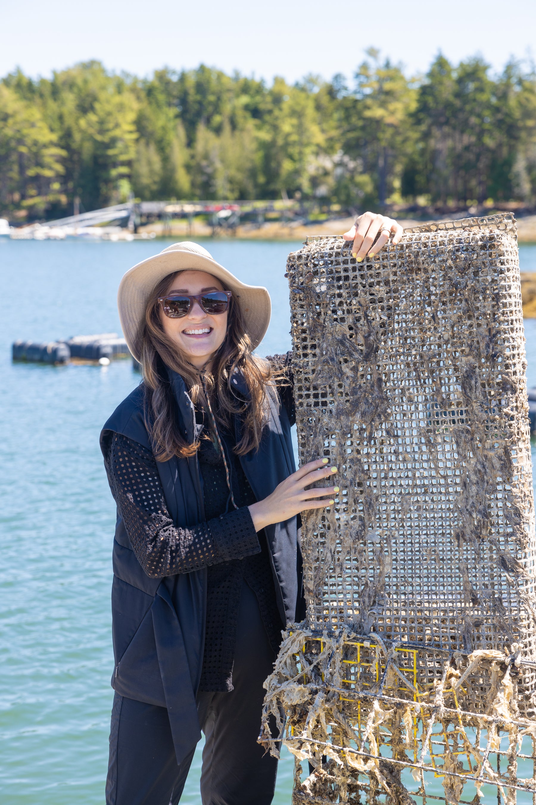 About Lady Oyster | Lady Oyster